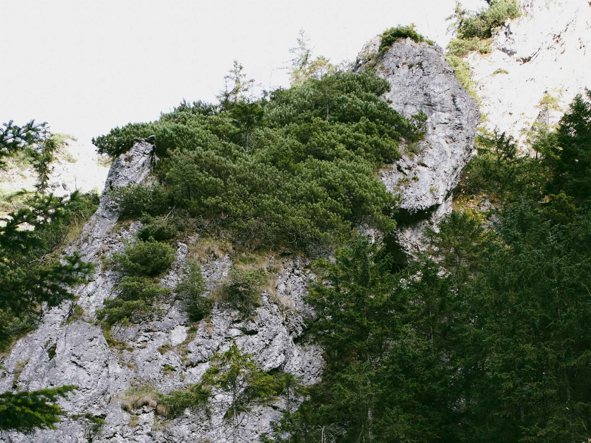 Gigantisch rotsblok stort neer bij Hallstatt: klimmers...