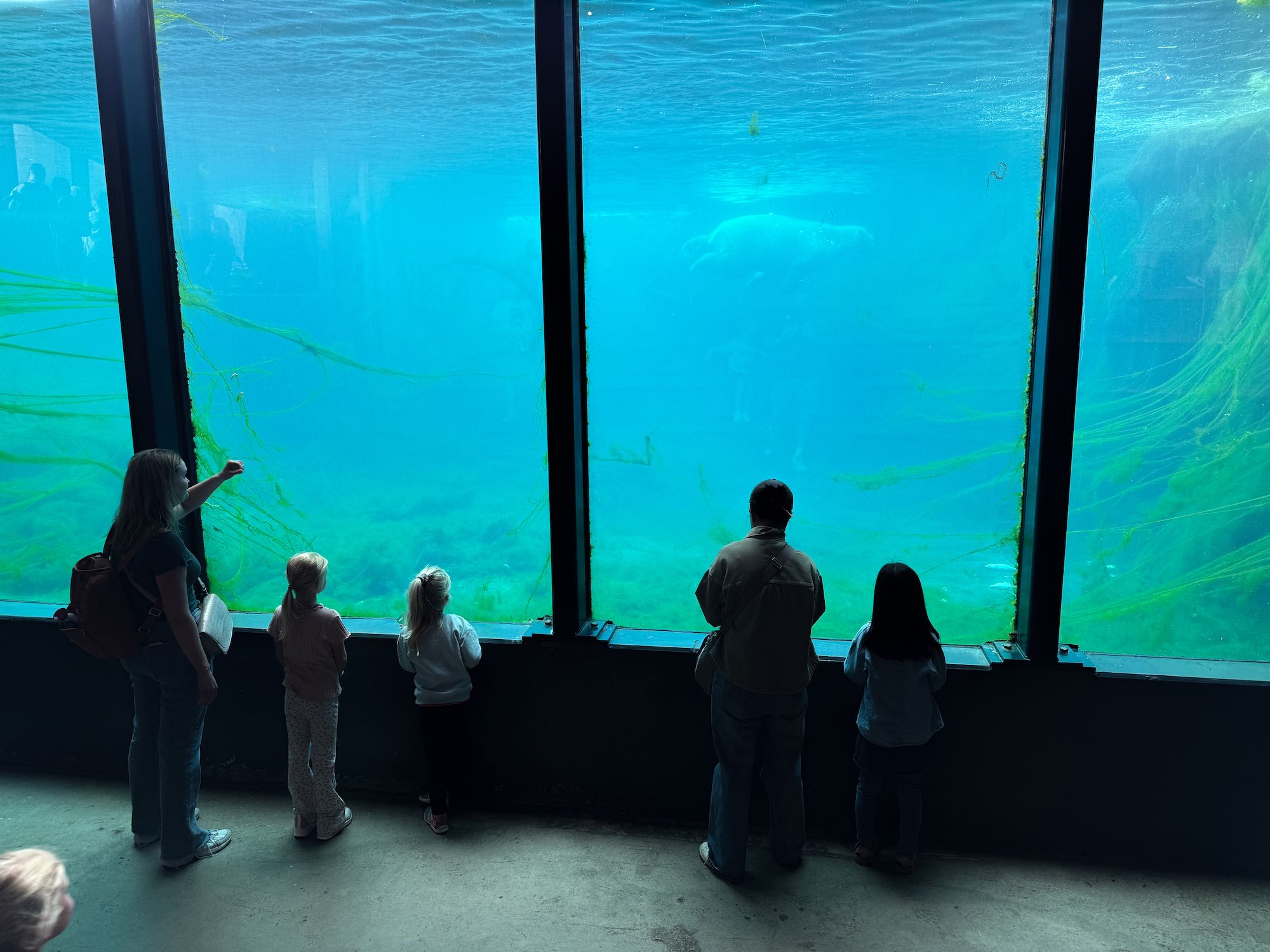 Ontdek Diergaarde Blijdorp: dierenplezier met het gezin