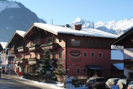 Alpenrose