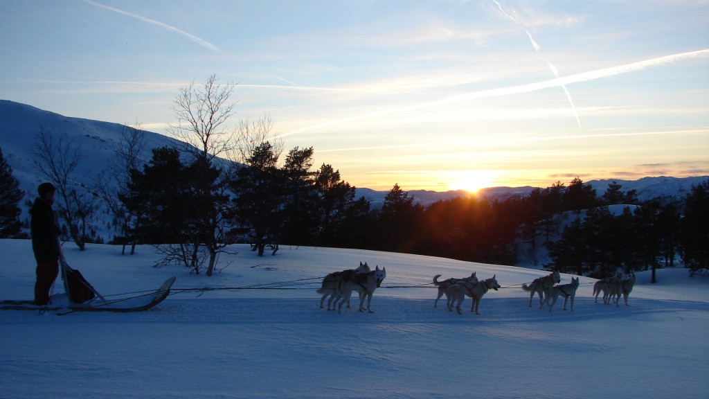 Sirdal Ski Resort (Noorwegen) | Wintersport