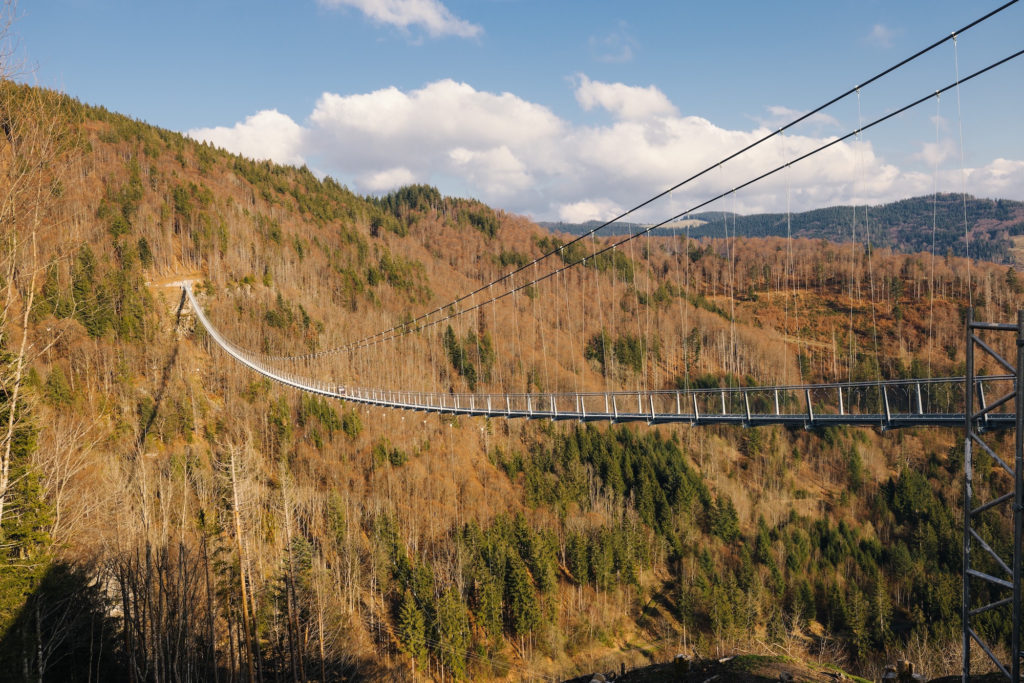 Blackforestline: nieuwe hangbrug in het Zwarte Woud (T...