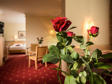 Sporthotel Royer, Schladming