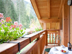 Marmotte Mountain Hideaway