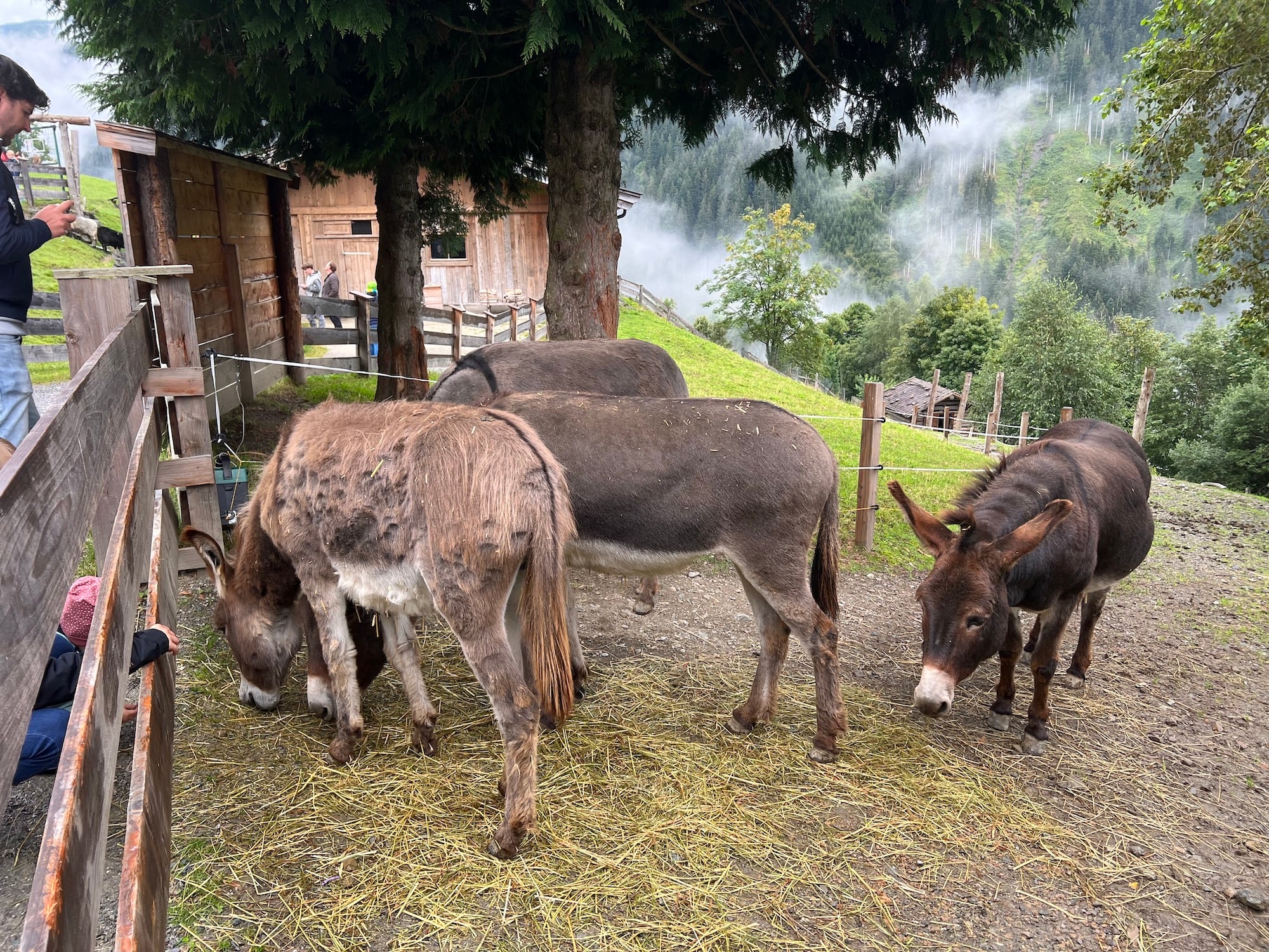 Wildpark Aurach