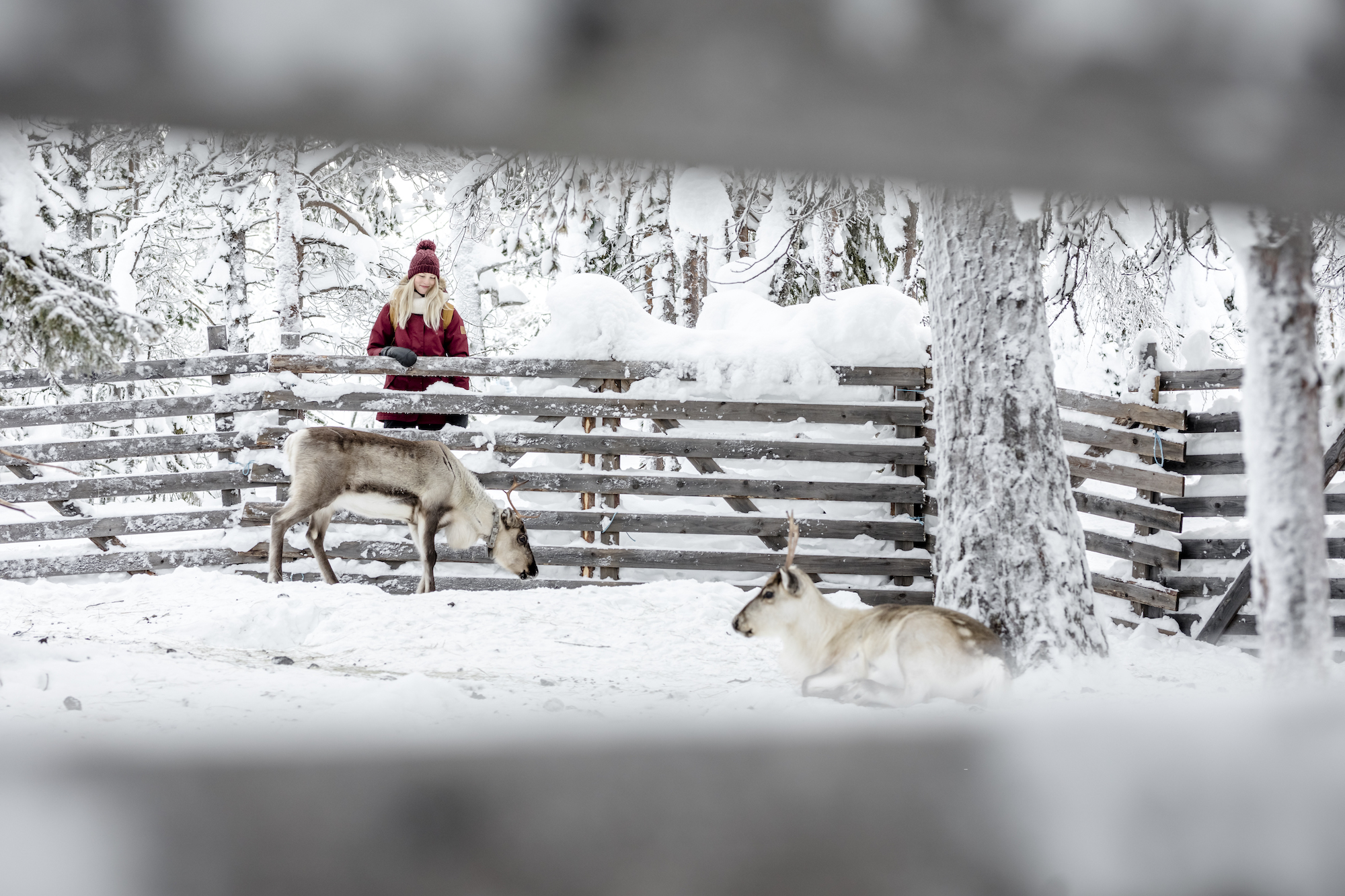 Pyhä | Skigebieden Finland