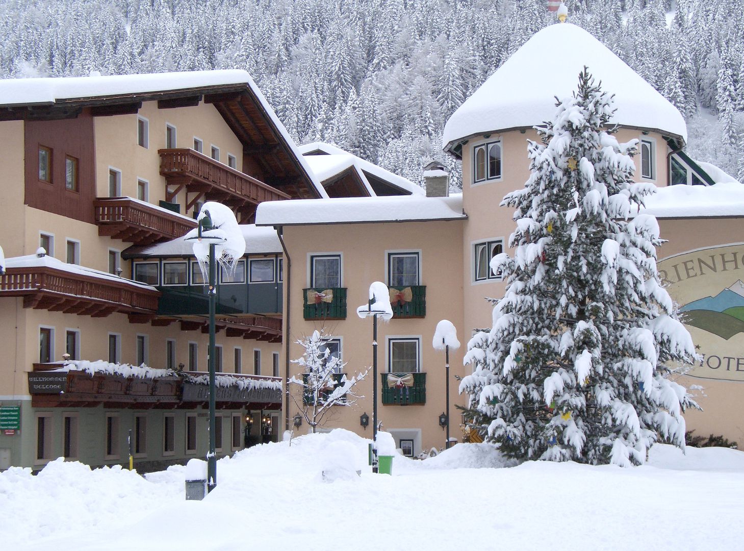 Vakantiehotel Alber Alpenhotel