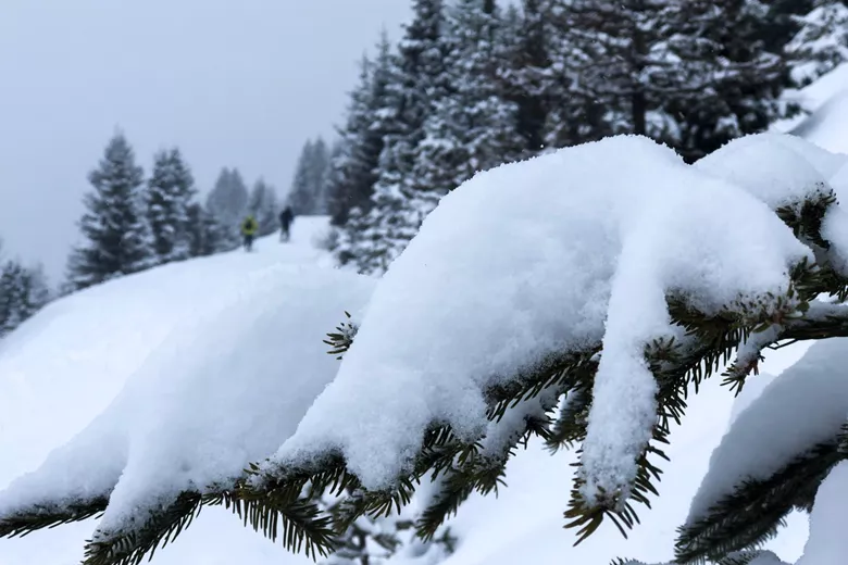 Schneelage Wir Zeigen Wo Jetzt Schnee Liegt schneelage-wir-zeigen-wo-jetzt-schnee-liegt