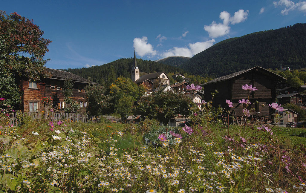 Vakantie Fiesch (Zwitserland)
