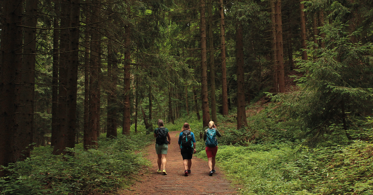Die 5 schönsten Wanderwege im Westerwald