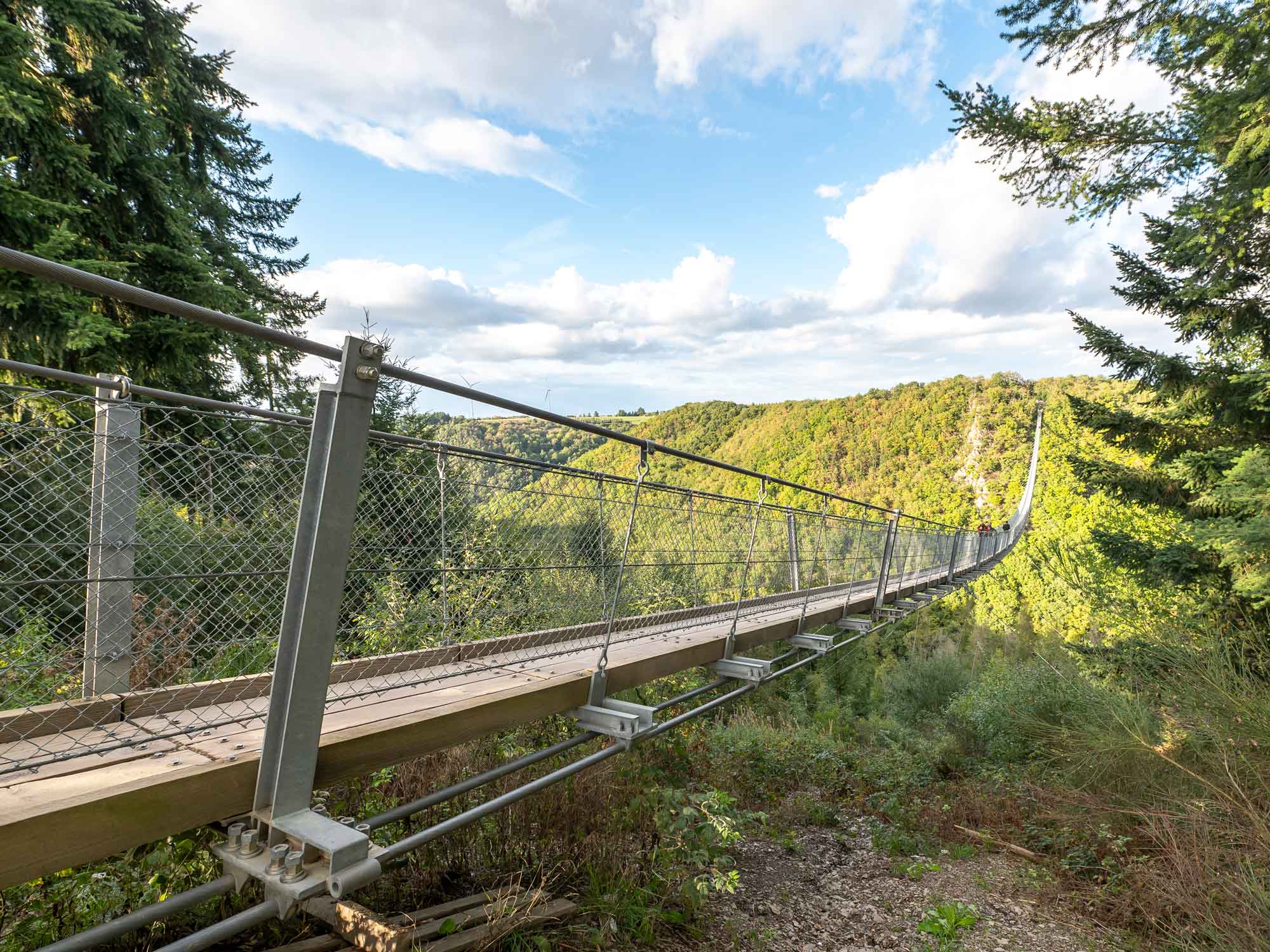 Geierlay hangbrug: hét uitstapje in de Duitse Hunsrück