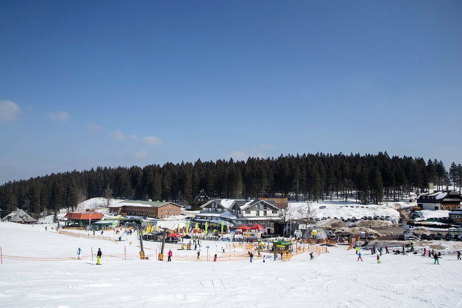 Chalets Feldberg (Duitsland)